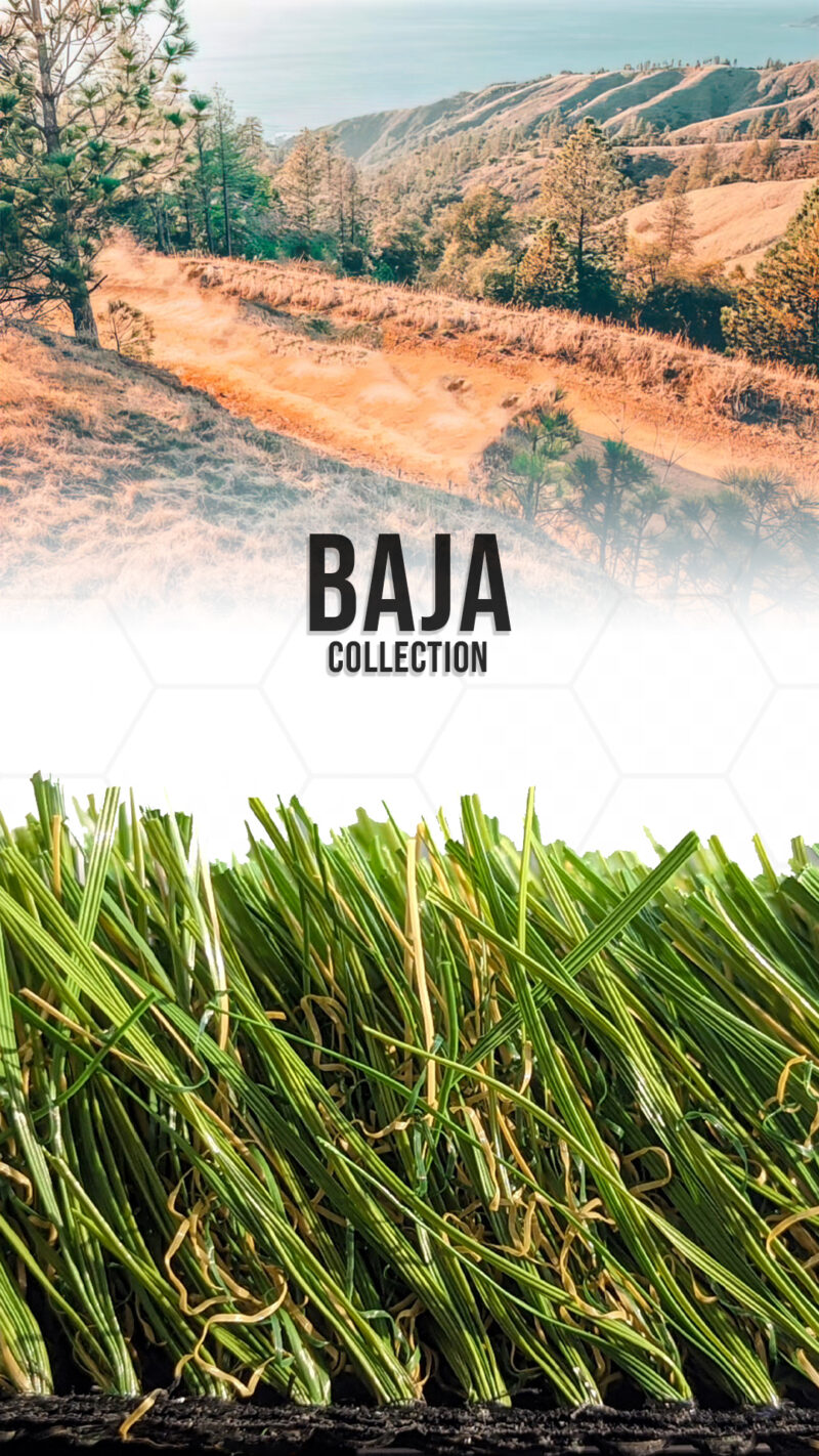 Shop - Vivid Turf USA